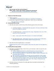Microscope Cell LR 1 Docx BioLab3 Microscope And The Cell Lab Report Name Date Course And