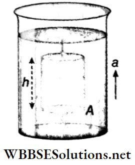 Hydrostatic Forces And Buoyancy Notes WBBSE Solutions