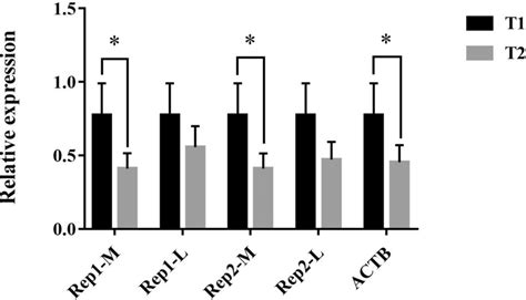 Validation Of The Selected Reference Genes By Detected Expression Of