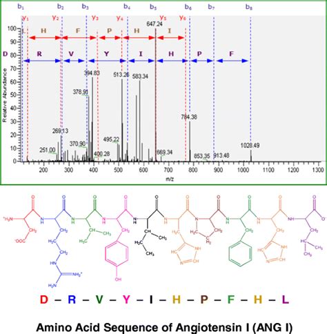 Peptide Drug Analysis Service Mtoz Biolabs