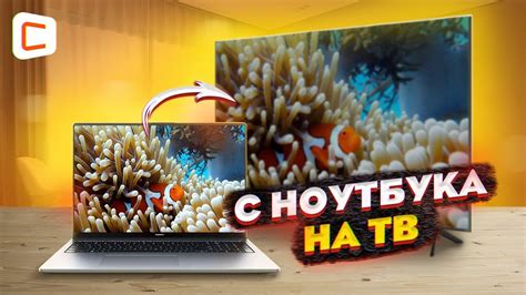 Как вывести экран ноутбука на телевизор ВСЕ СПОСОБЫ Youtube