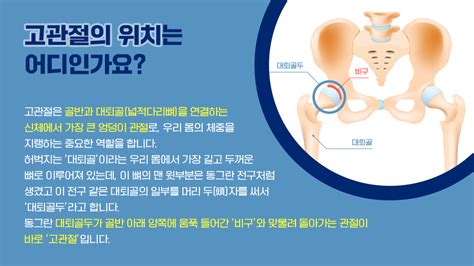 가톨릭대학교 의정부성모병원