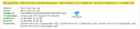 Powershell Create And Export Self Signed Rsa Certificates Pfx Cer