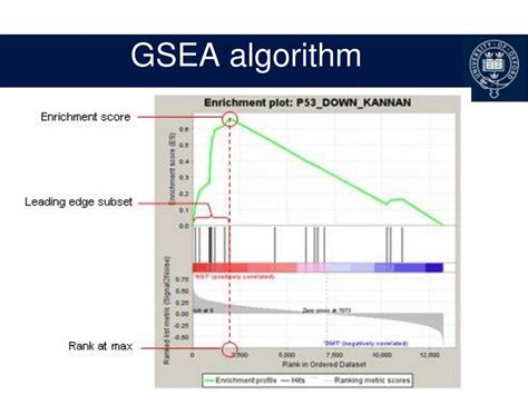 PPT Biological Interpretation Of Microarray Data PowerPoint