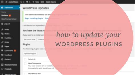 How To Update Wordpress Plugins Automatically