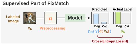 The Illustrated FixMatch For Semi Supervised Learning