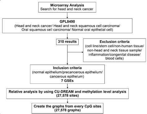 Flowchart Of The Bioinformatic Analysis Download Scientific Diagram