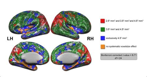 Conjunction Analysis Maps Investigating Systematic Voxel Size Effects