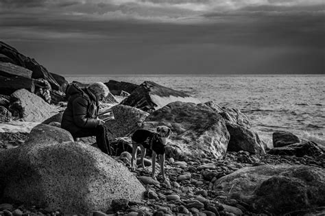 배경 화면 독서 해안 바다 경치 개 레이디 바위 록 키시 어 베르나자 가로 사진 Streetphotographylover 정경 사진 촬영 캐논