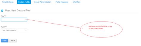 Liferay Custom Field Or Custom Attributes Pro Liferay