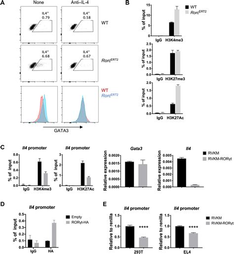 Rorγt Expression In Mature Th17 Cells Safeguards Their Lineage Specification By Inhibiting
