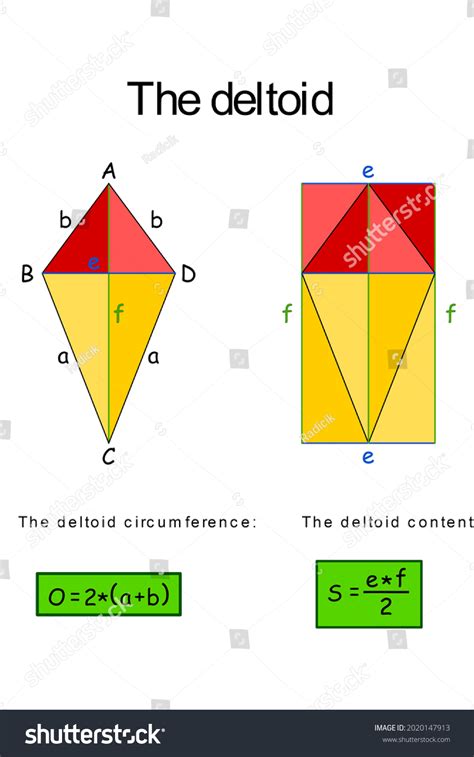 Rectangle Perimeter Over 442 Royalty Free Licensable Stock Illustrations And Drawings Shutterstock