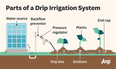 Pros And Cons Of Drip Irrigation Systems Angi