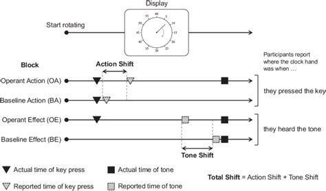 Schematic Diagram Of The Intentional Binding Task Adapted From Download Scientific Diagram
