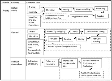 System Diagrams For Trunk Pathways Download Scientific Diagram