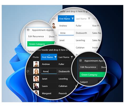Discover The Wpf Wow World Of Windows 11 New Theme