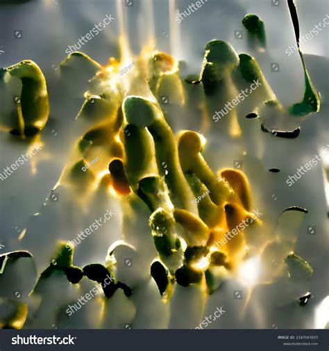 박테리아 시트로박터 그램 네거티브 박테리아의 과학적 스톡 일러스트 2187043925 Shutterstock