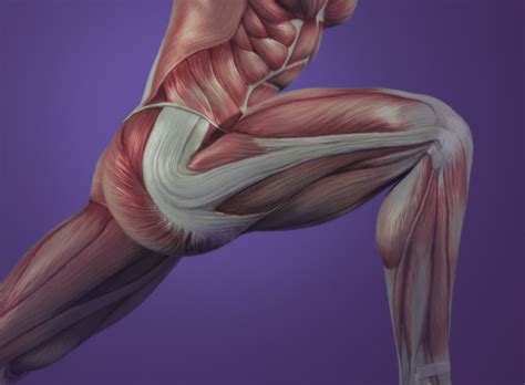 Soluzioni Per Il Benessere Muscolare Fisiocrem