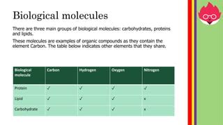 IGCSE Biology Edexcel 9 1 Biological Molecules PPT