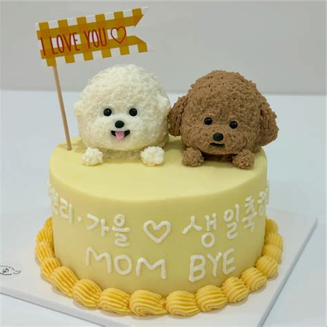 멈무까 부산강아지케이크 광안리강아지케이크 광안리강아지수제간식 강아지 유치원에서 생일파티 🥳🎉 생일인 칭구들 모여라~~~ 💝 ღ 문의 및 주문 카카오채널 ‘멈무까