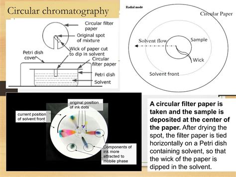 Paper Chromatography Ascending Descending Circular 2 Dimensional Unit Iii Pptx