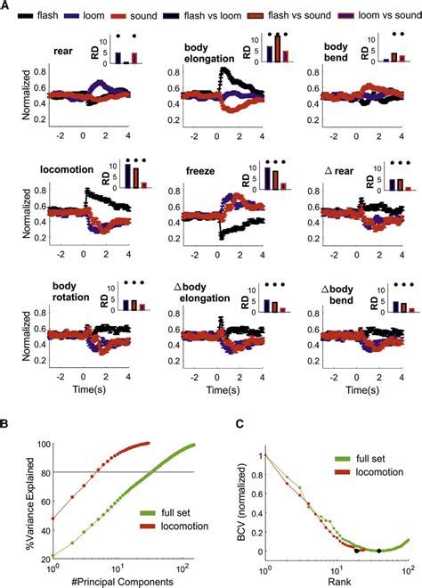 Multiple Motor Actions Are Involved In Sensory Guided Behaviors A Download Scientific Diagram