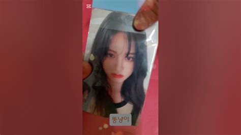 신입포장계의 포카포장 Youtube