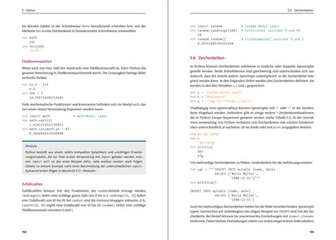 Scripting Das Praxisbuch Für Admins Und Devops Teams Rheinwerk