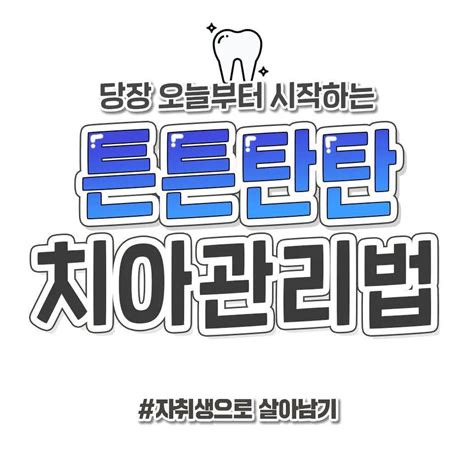 당장 오늘부터 시작하는 치아관리법 인스티즈instiz 이슈 카테고리