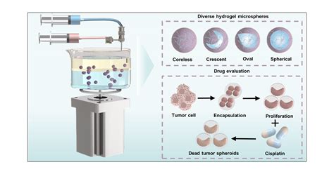 Rapid Fabrication Of Diverse Hydrogel Microspheres For Drug Evaluation On A Rotating