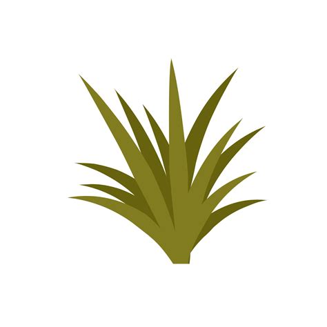 Green Grasses For Decorations 36555761 Png