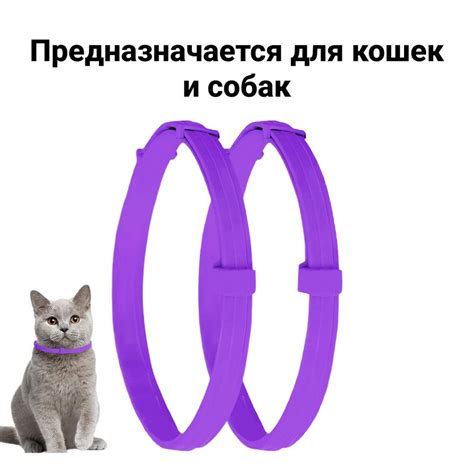 Ошейник антистресс для кошек и собак, пурпурный, MIKASH - купить с ...