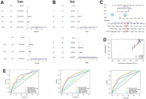 A Novel Predictive Model Based On Inflammatory Response Related Genes For Predicting Endometrial