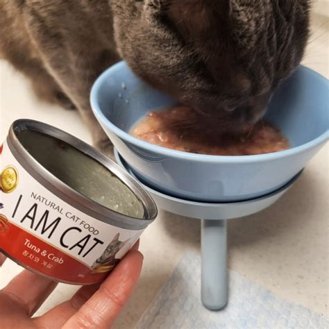 아이엠캣 내가 고양이다 고양이 유산균을 담은 고양이 간식캔 네이버 블로그 아이엠캣 내가 고양이다 고양이 유산균을 담은 고양이 간식캔 네이버 블로그