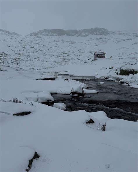 Tom Mathis Tom Mathis Added A New Photo — With Marcella