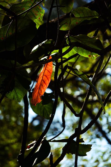 Photography Siva Murugan