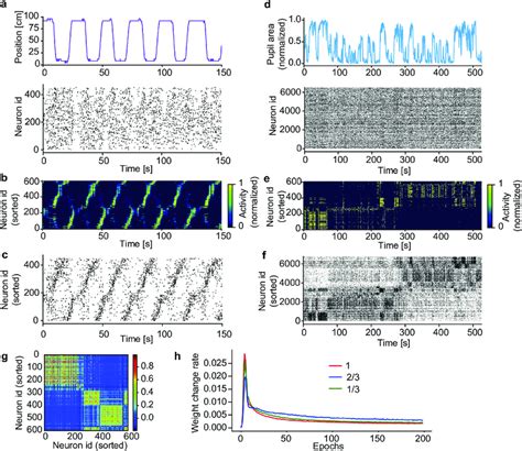 Detecting Salient Activity Patterns In Calcium Imaging Data A The Download Scientific