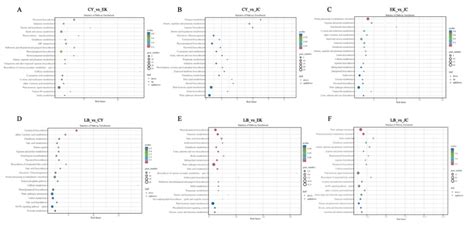 If 4 2 不同西瓜品种果实品质的转录组代谢组联合分析 组学大讲堂问答社区