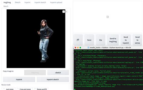 This Error Occurs After Loading A Guide Frame In The Multiframe Video