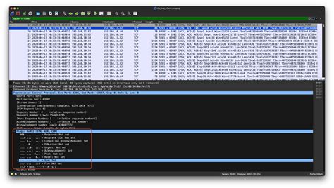 Testing And Debugging L4s In Your App Apple Developer Documentation