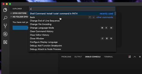 Why Dont I See The Same Options As Others When I Do Ctrl Shift P Rvscode