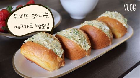 🥚 🥑 에그 샌드위치 소소한 꿀팁 And 재재재구매 맛있는 수프 인생 첫 천연 수세미 And 설거지 비누 플라스틱 줄이기 작은 실천 아부다비 일상 Youtube