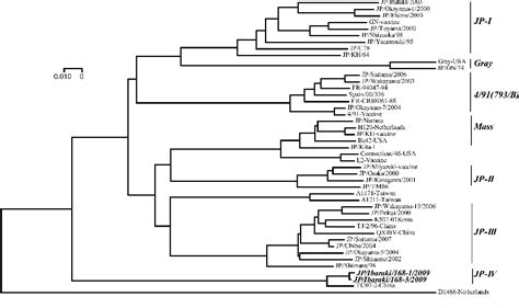 Figure 1 From Avian Pathology A Novel Genotype Of Avian Infectious Bronchitis Virus Isolated In