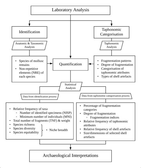 4 Research Design Of The Laboratory Analyses Download Scientific Diagram