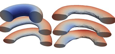 Cross Sections Of The Initial Torus Mesh Used For The Calculations Top Download Scientific