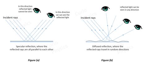 Reflection Of Light Curio Physics