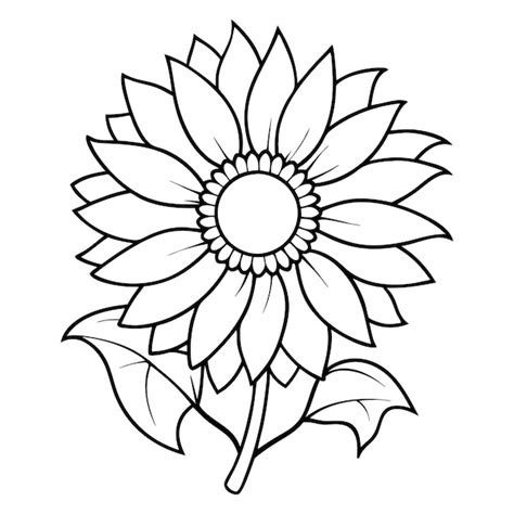 Premium Vector Sunflower Line Drawing Vectors Line Art Tattoo