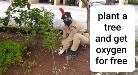 Tree Plantation India NCC