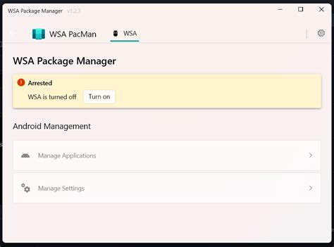 BUG Window Shadows And Window Preview Bugs Issue 19