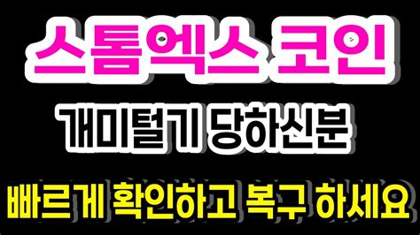 스톰엑스 코인 개미털기 당하신분 빠르게 확인하고 복구 하세요 Youtube